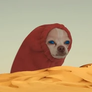 Billy la Bufanda (Song) | The Wooly Wiki | Fandom