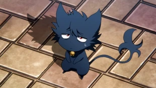 Sleepy Ash | Servamp Wiki | Fandom