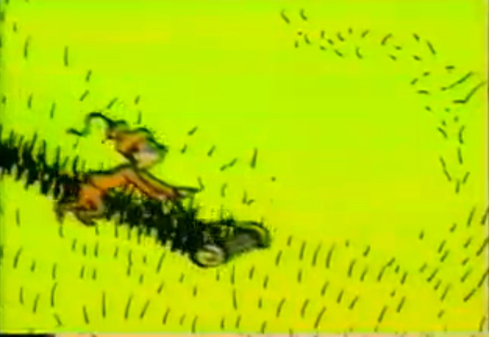 Ali Sard | Dr. Seuss Wiki | FANDOM powered by Wikia