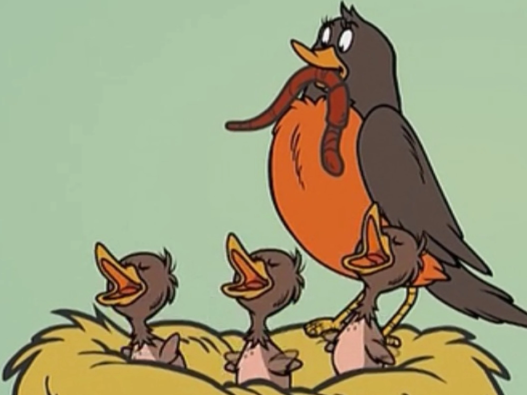 Robin | Dr. Seuss Wiki | Fandom