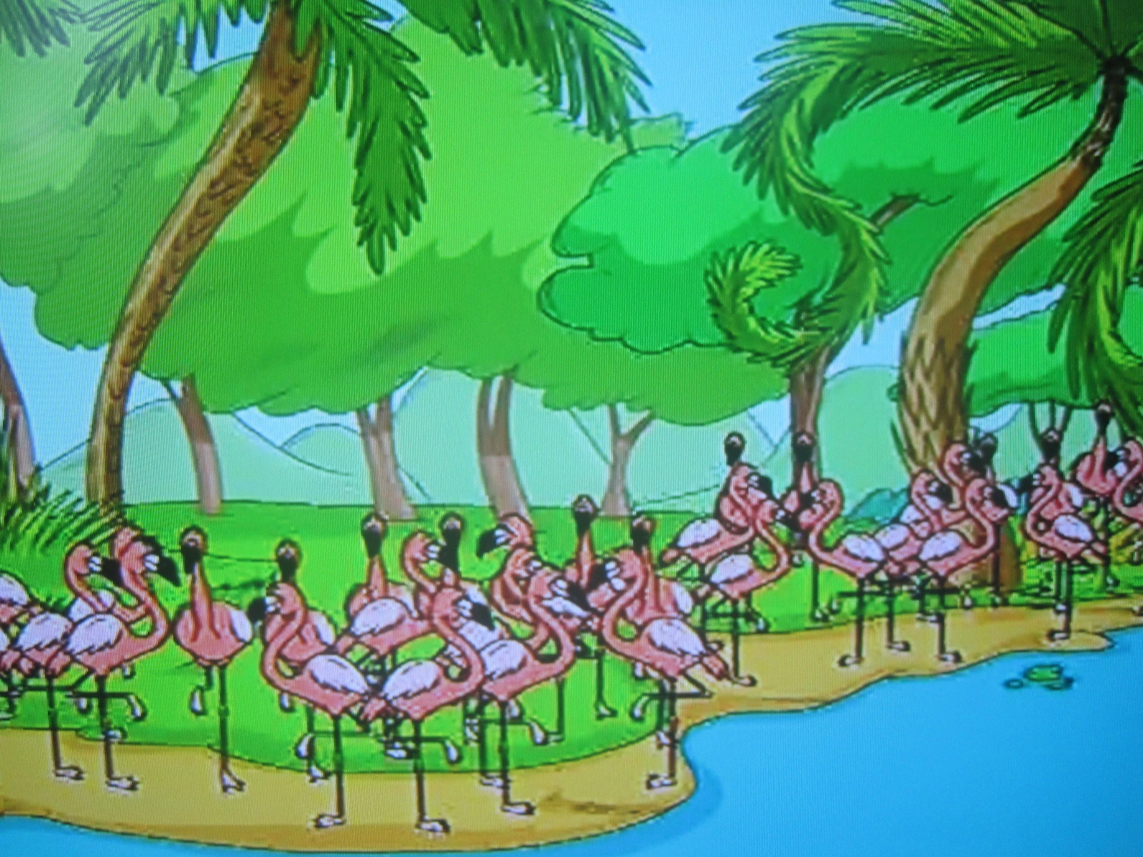 Flamingo | Dr. Seuss Wiki | FANDOM powered by Wikia