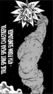 Chastiefol | Wiki Seven Deadly Sins | Fandom