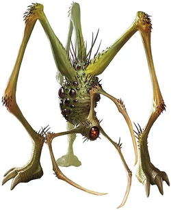 Obyrith | Sferopedia | FANDOM powered by Wikia