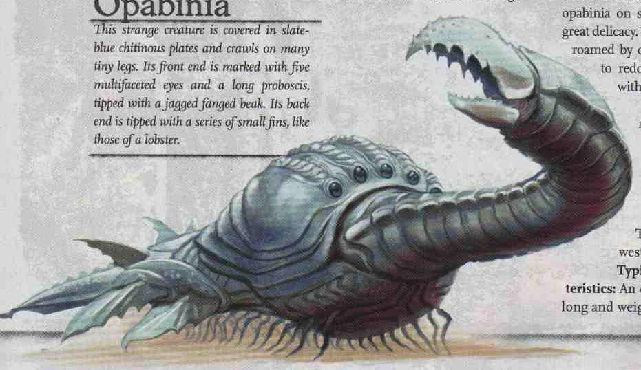 Opabinia | Sferopedia | Fandom
