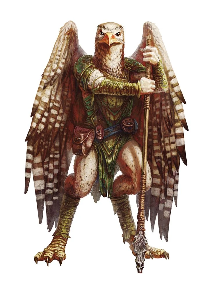 Aarakokra | Sferopedia | Fandom