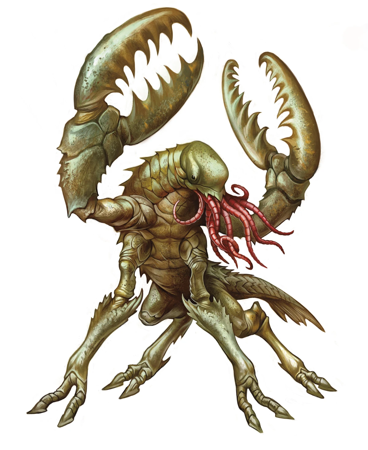 Chuul | Sferopedia | Fandom