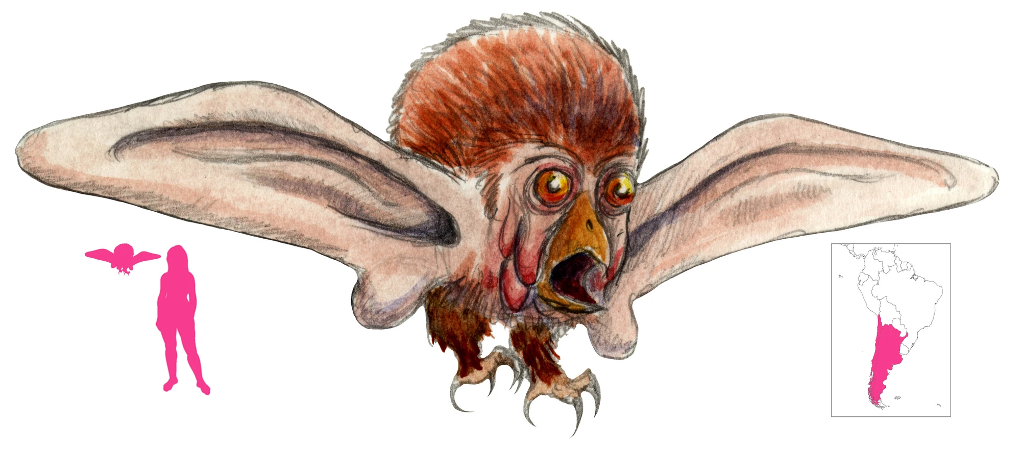 Chon Chon | Shadowhearts Wiki | Fandom