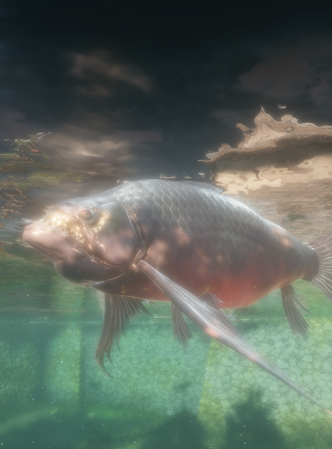 Carp | Sekiro: Shadows Die Twice Wiki | Fandom