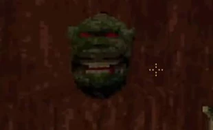 Head | Shadow Warrior Wiki | Fandom