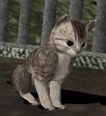 Orphaned kitten | Shenmue Wiki | Fandom