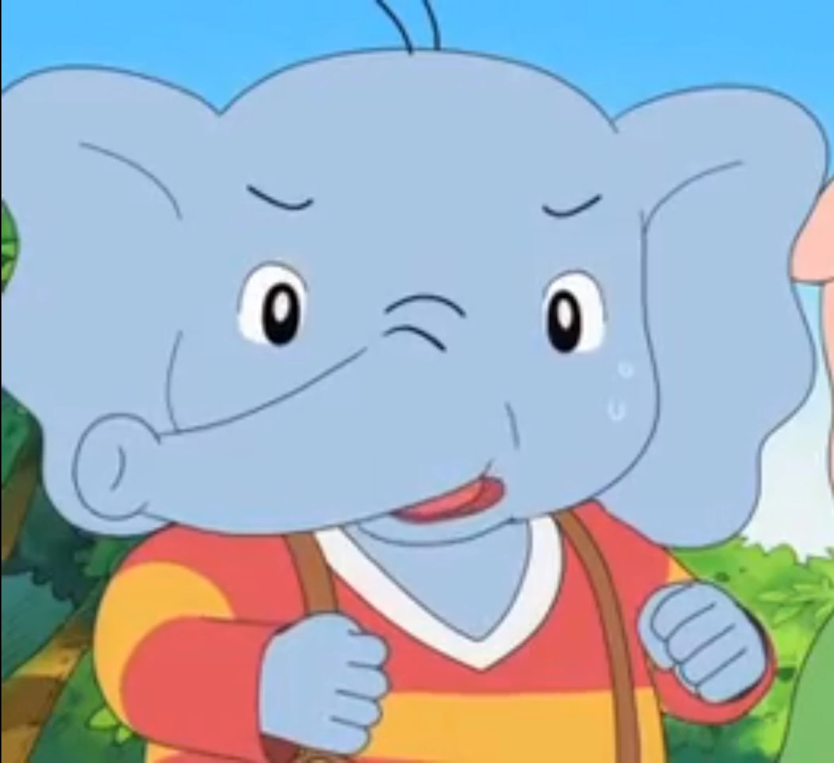 Zota | Shimajiro Wiki | Fandom