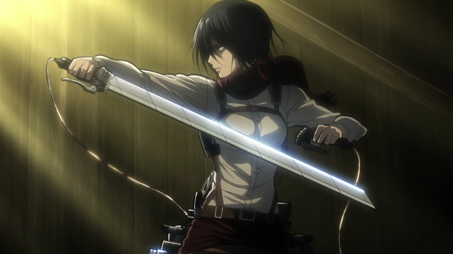 Imagen - Mikasa desenvaina.png | Shingeki no Kyojin Wiki | FANDOM ...