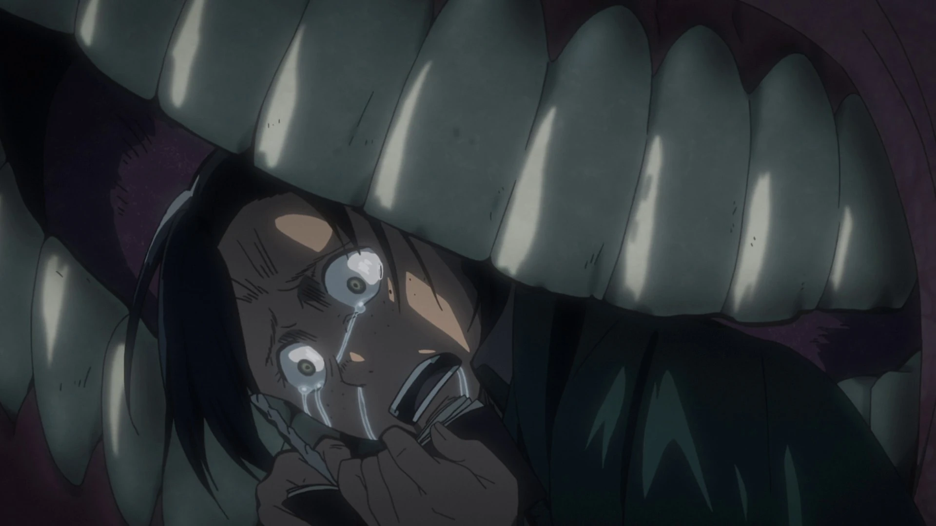 Ilse Langner | Shingeki no Kyojin Wiki | Fandom