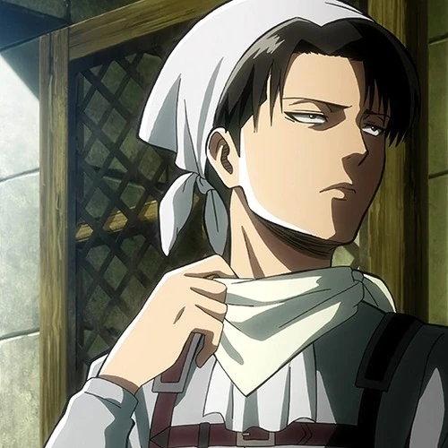 Image - Cleaning levi.jpg | Shingeki no Kyojin Wikia | FANDOM powered ...