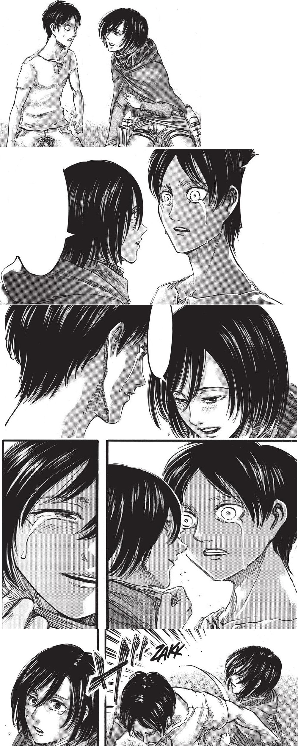 Image Mikasa Thanks Eren Attack On Titan Wiki Fandom Powered By Wikia