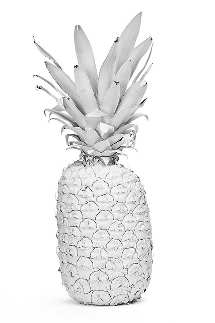 Inu Inu no Mi, Model: Inari's Kitsune | One Piece: Ship of fools Wiki ...