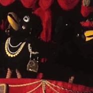 The Warblettes | ShowBiz Pizza Wiki | Fandom