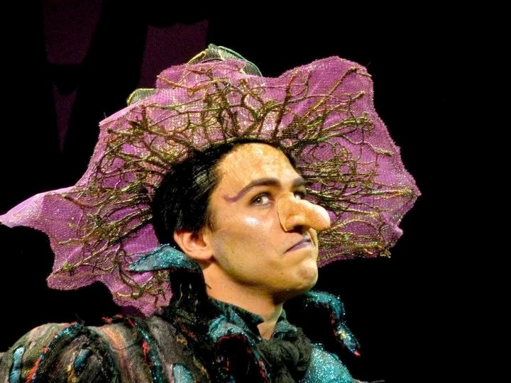 Wizard | Shrek the Musical Wiki | FANDOM powered by Wikia