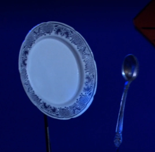 The Dish and the Spoon | WikiShrek | Fandom