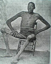 John Rogan | Sideshow Wiki | Fandom