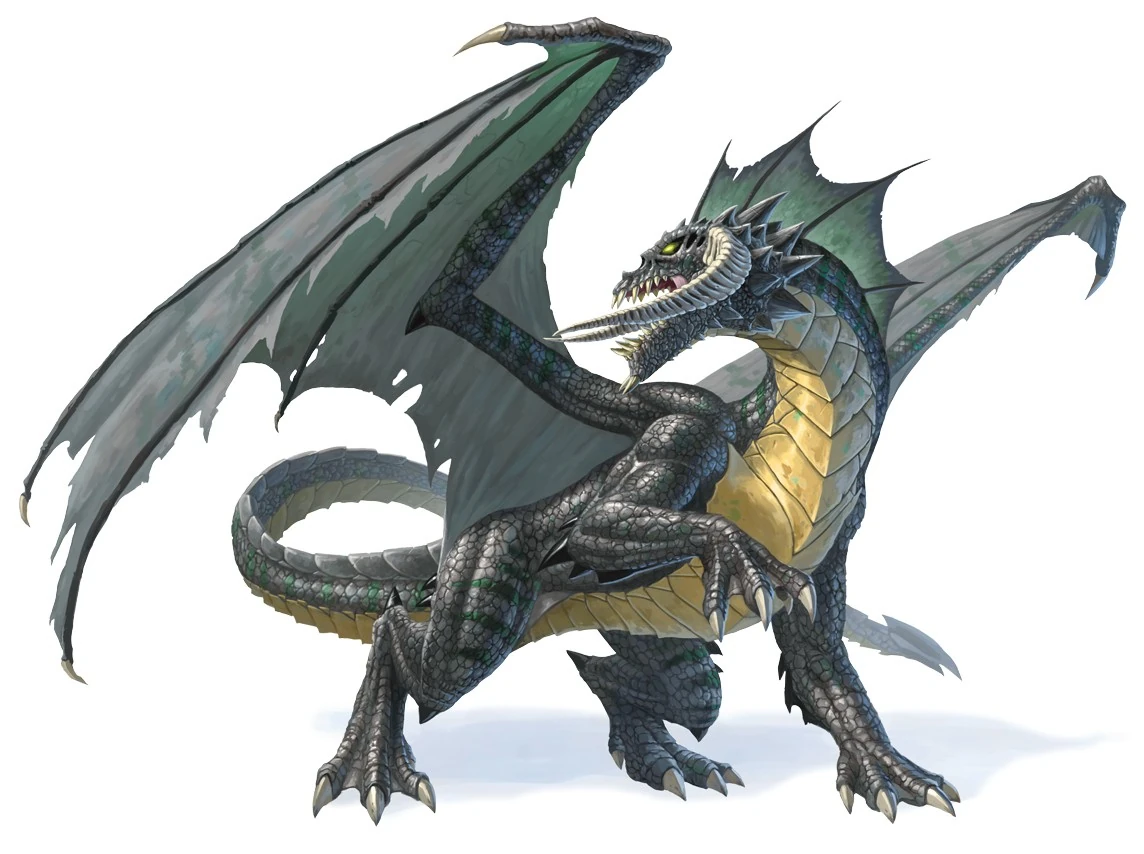 Black Dragon | Sigil NWN2 PW Wiki | Fandom