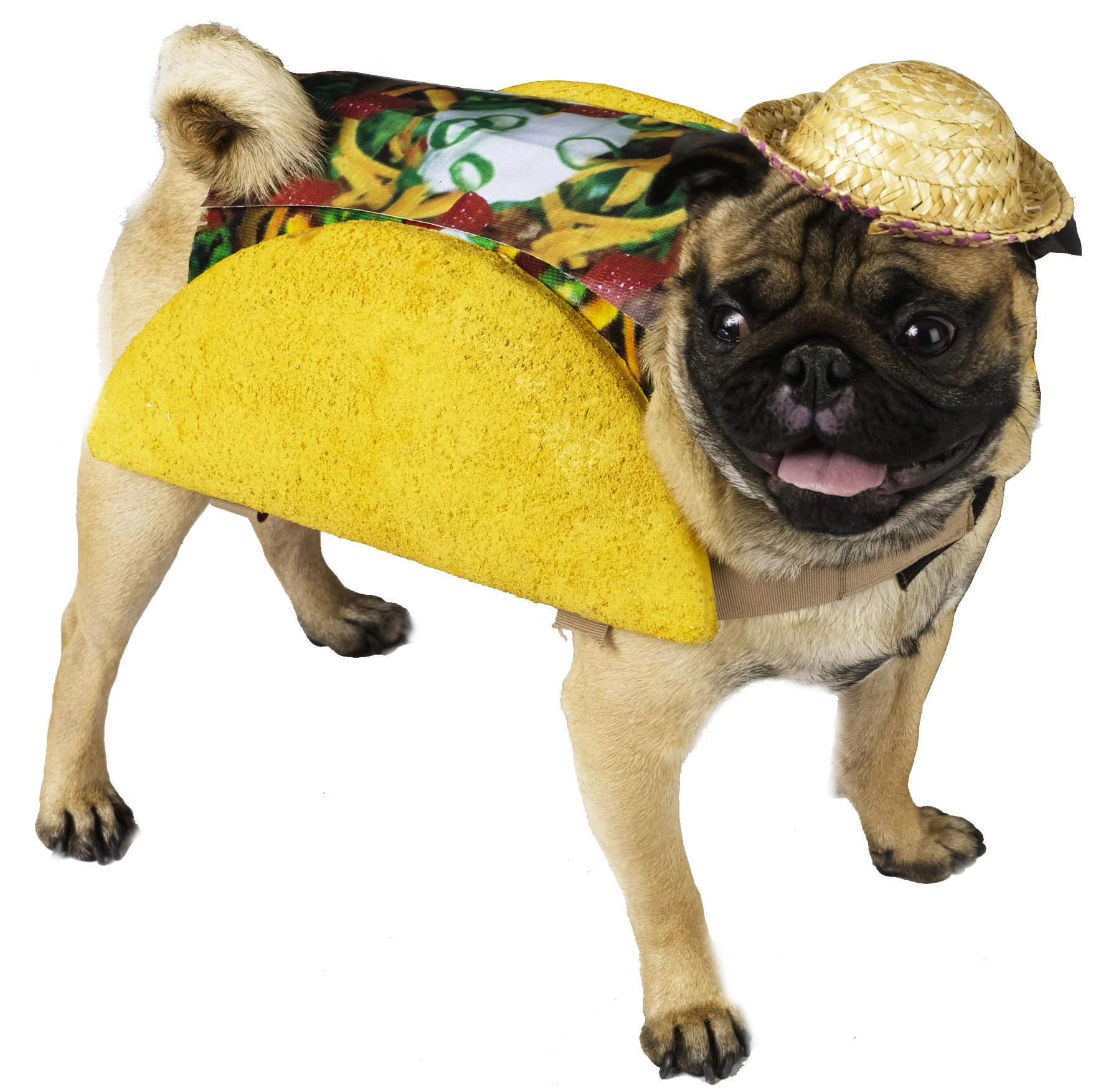 Image - Taco Dog.jpg | Silent Hill Wiki | FANDOM powered by Wikia