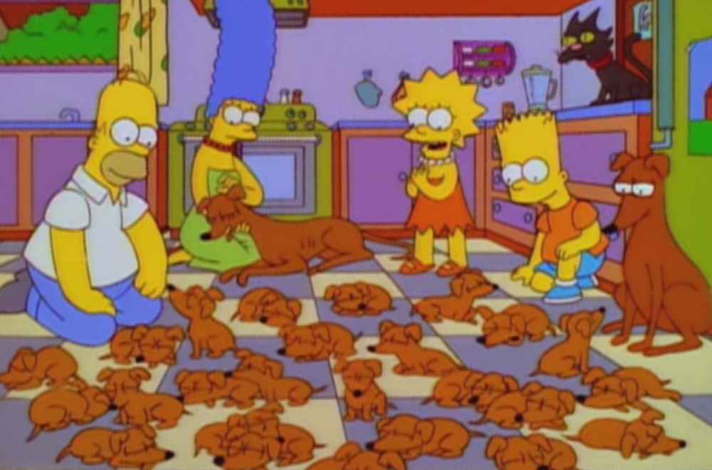 Piccolo Aiutante Di Babbo Natale Simpsons Italia Fandom