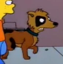 Shelbyville Milhouse's dog | Simpsons Wiki | Fandom