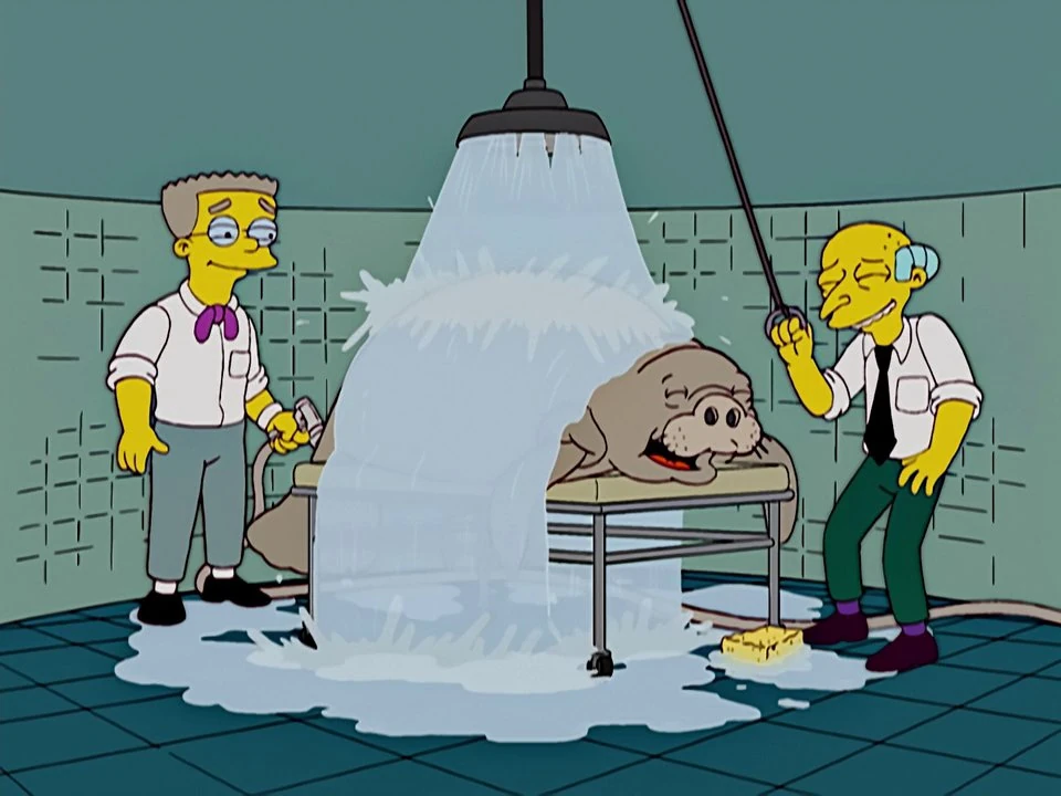 Car Wash (Song) | Simpsons Wiki | Fandom