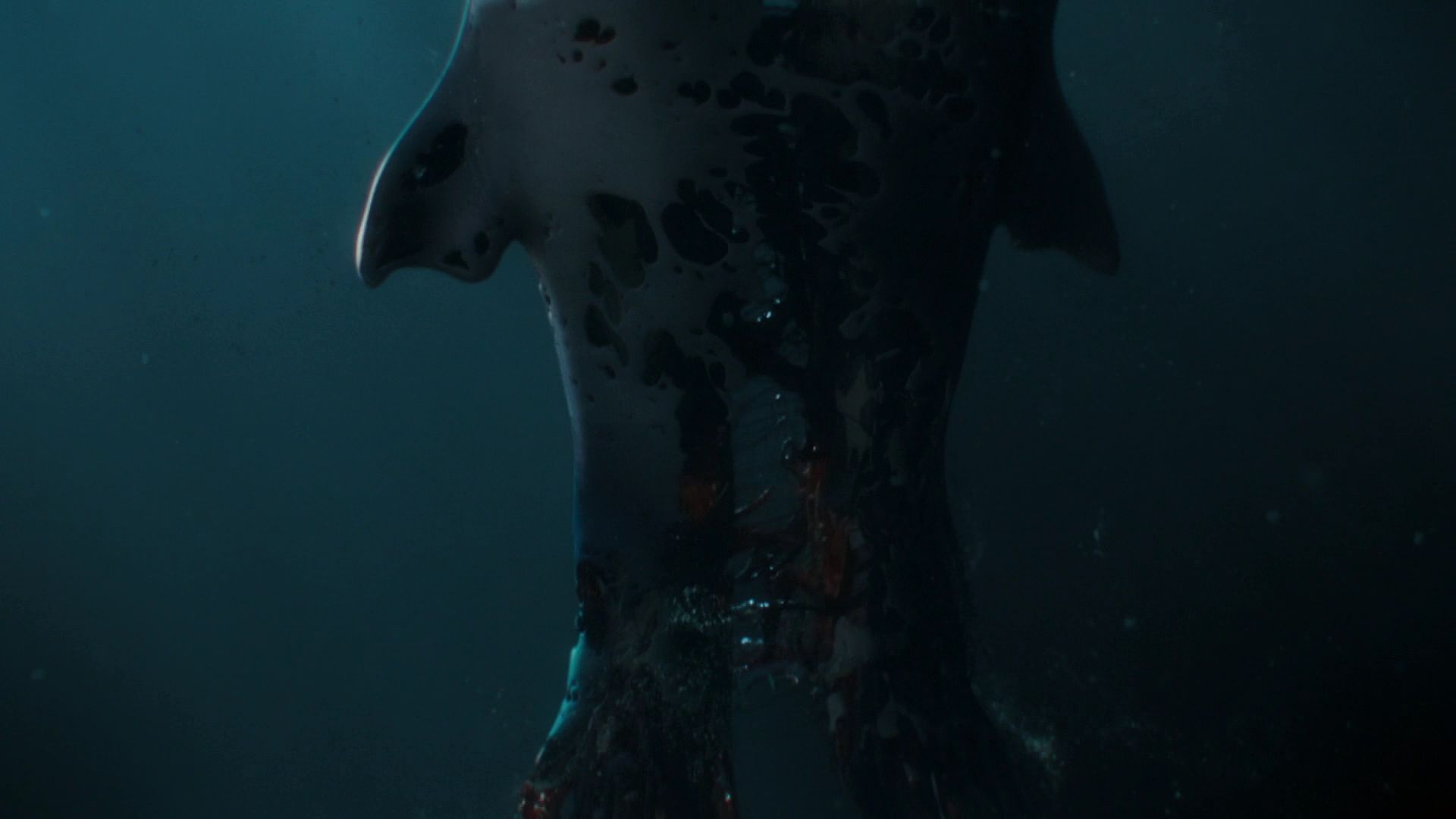 Image S01e01 Pilot 088 Ryn Mermaid Transformation Siren Wiki Fandom Powered By Wikia