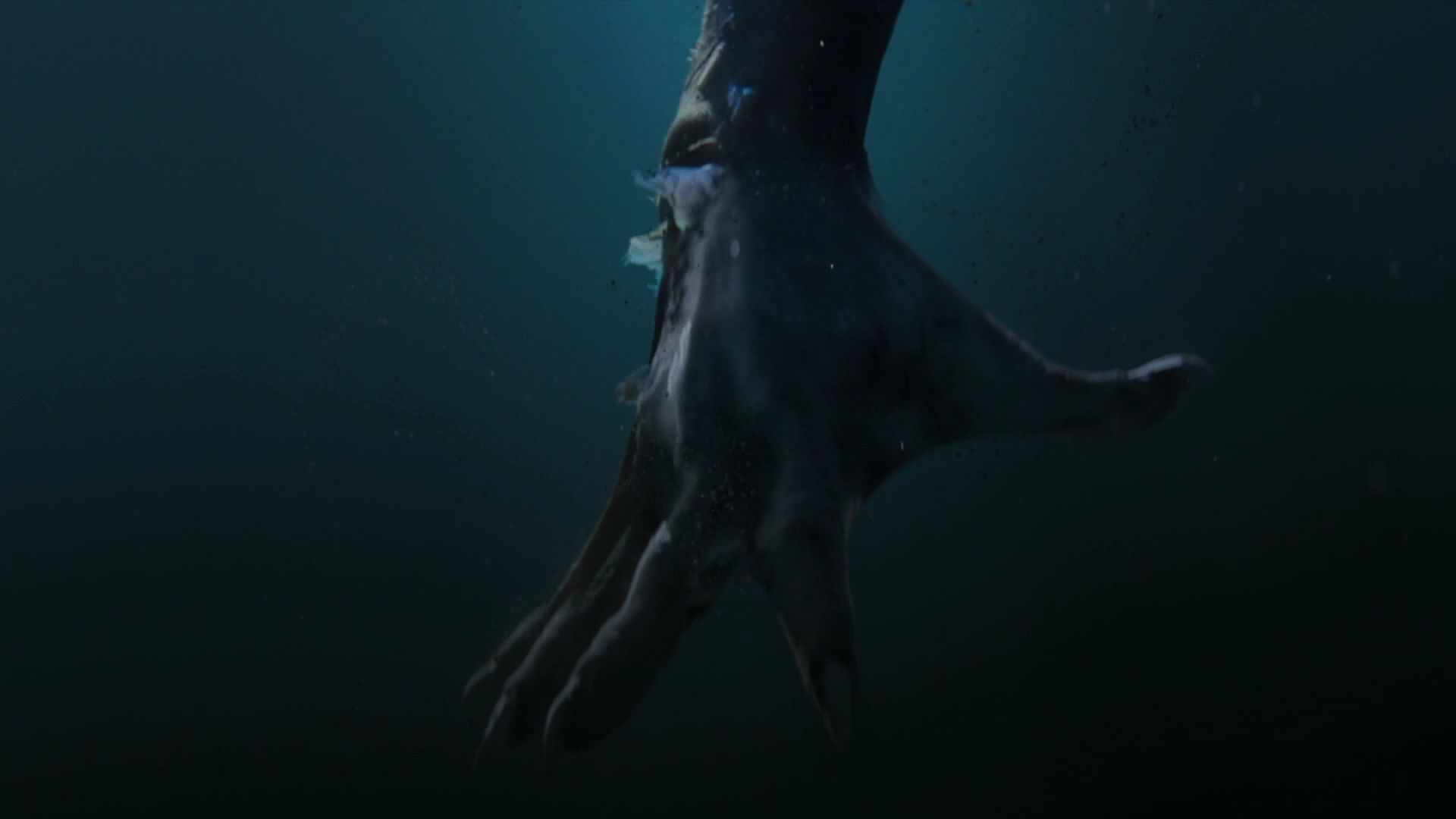 Image S01e01 Pilot 086 Ryn Mermaid Transformation Siren Wiki Fandom Powered By Wikia