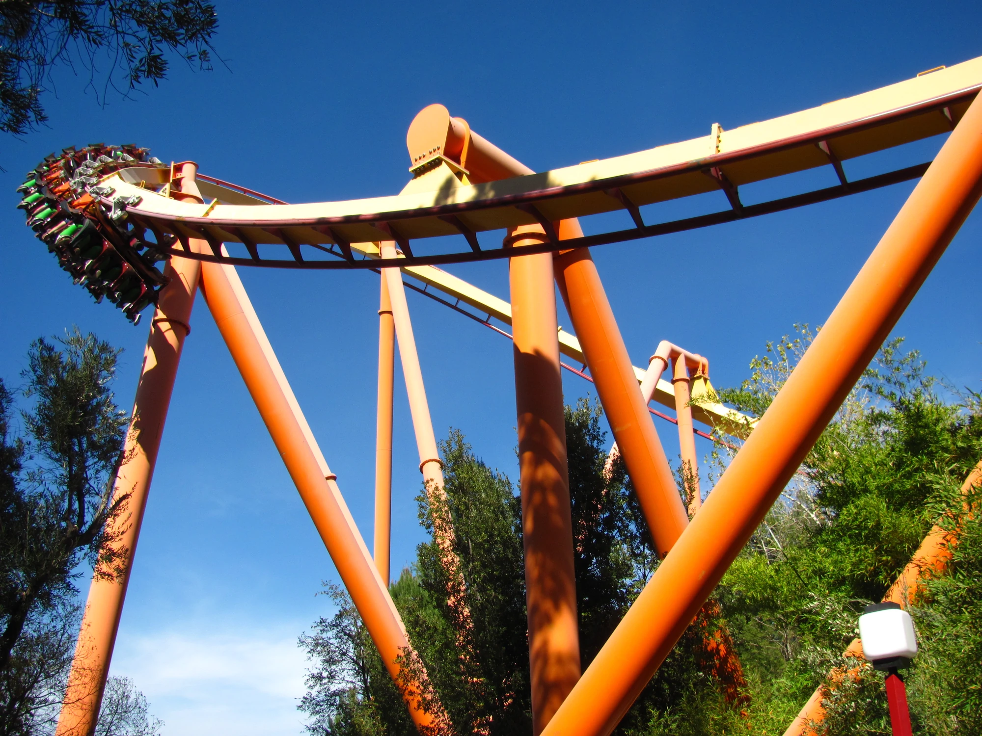 Tatsu | Six Flags Wiki | Fandom