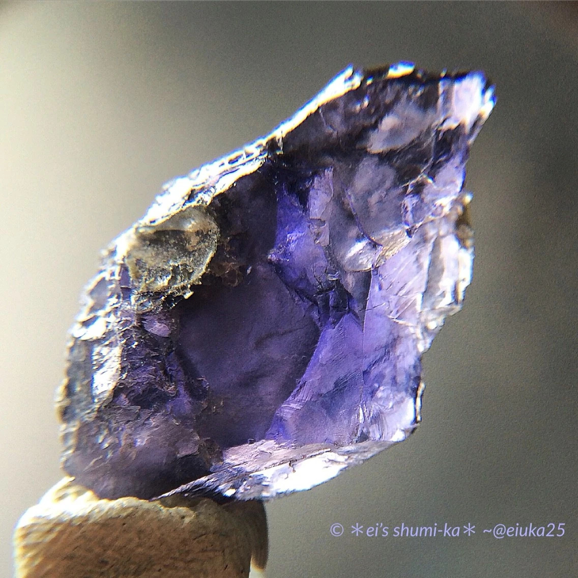 Corn (piedra) | Wiki Skip Beat! | FANDOM powered by Wikia