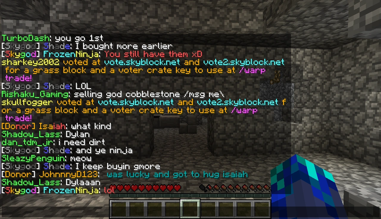 Voting in Skyblock | Skyblock.net Wiki | Fandom