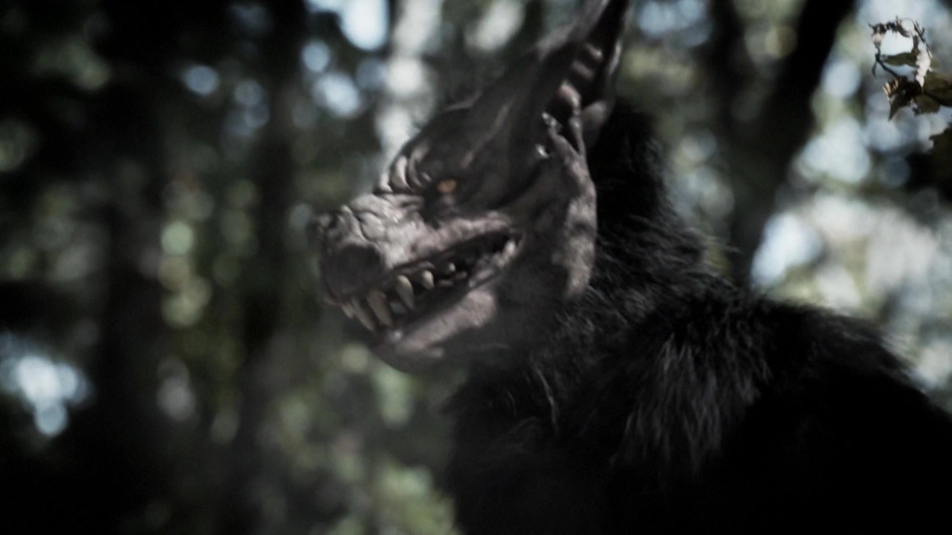 Barghest | SleepyHollow Wiki | FANDOM powered by Wikia