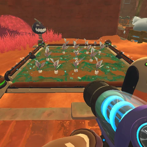 Silver Parsnip | Slime Rancher Wikia | Fandom
