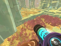 Gilded Ginger/Locations | Slime Rancher Wikia | FANDOM powered by Wikia