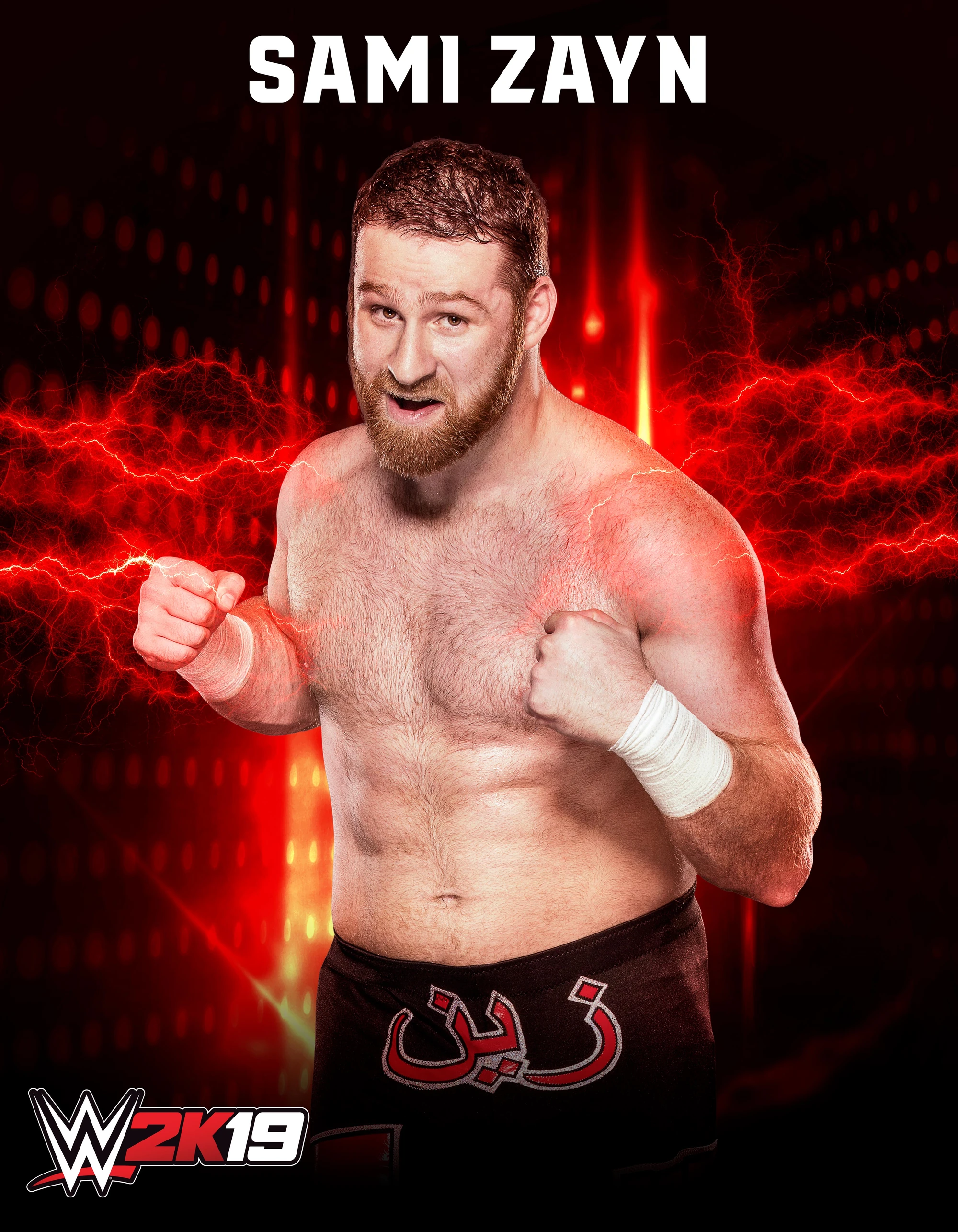 Sami Zayn | Smackdown vs Raw wiki | Fandom