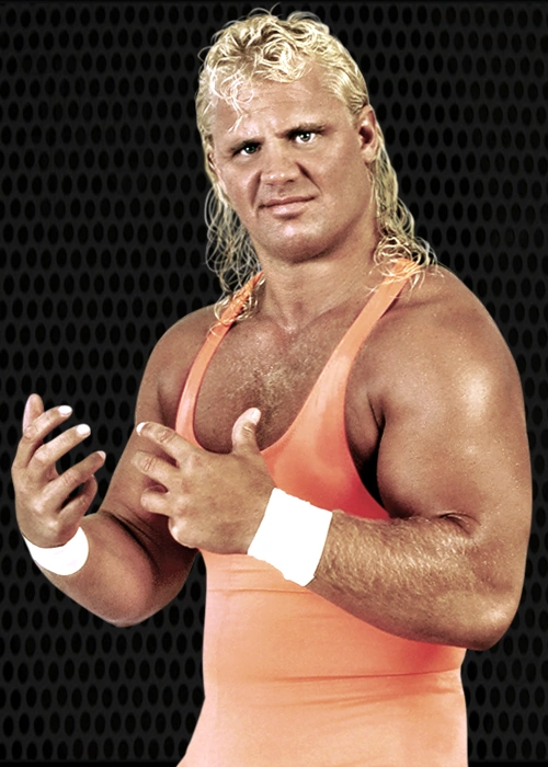 Mr. Perfect | Smackdown vs Raw wiki | Fandom