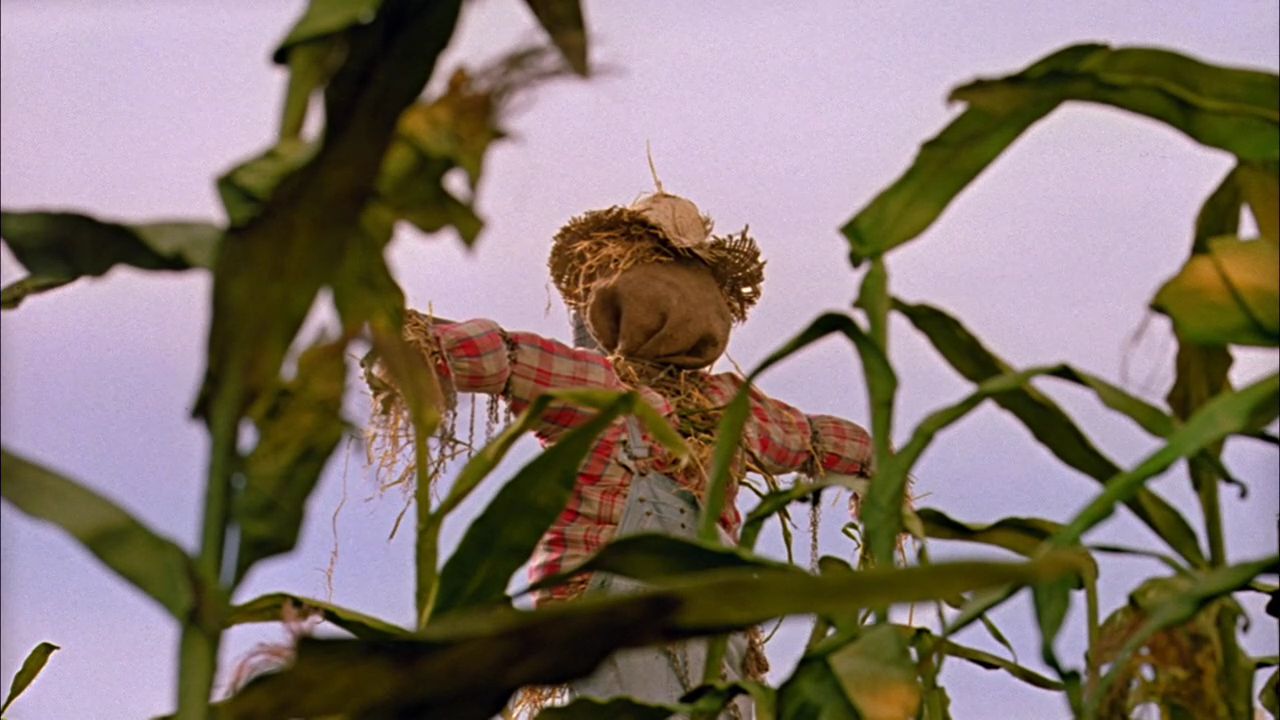 Scarecrow Smallville Wiki Fandom Powered By Wikia