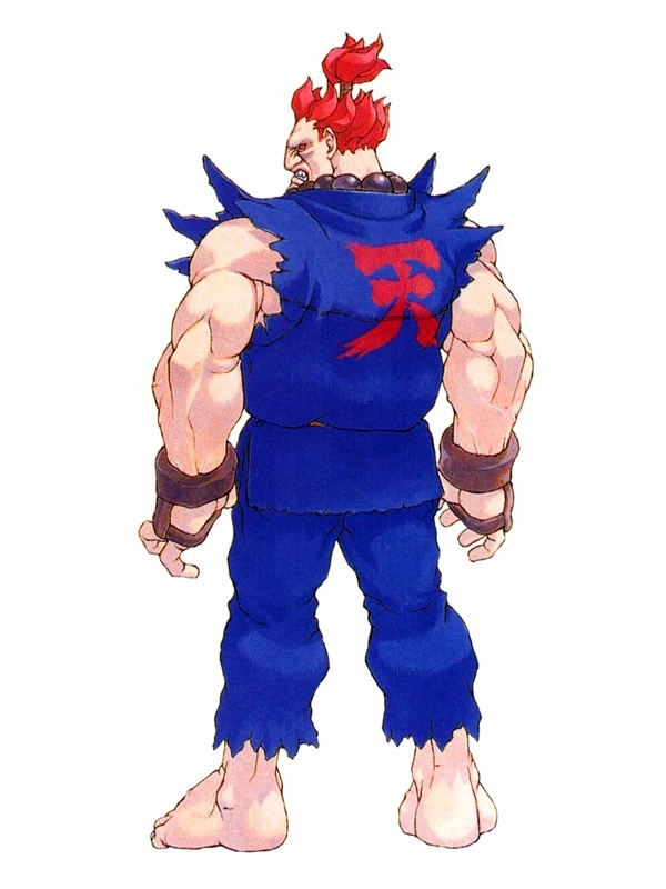 Akuma | Wiki Super Smash Bros. | Fandom
