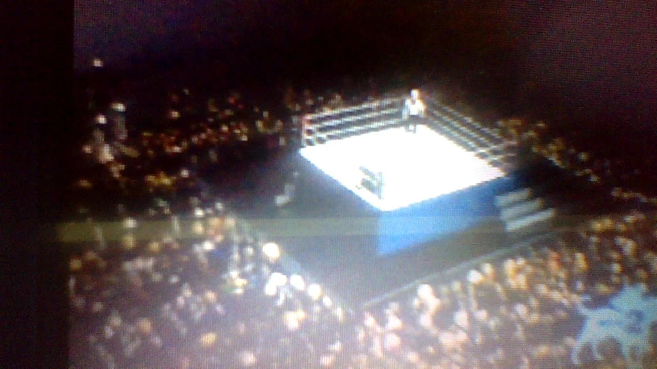 Celebrity Deathmatch Arena | World of Smash Bros Lawl Wiki | Fandom