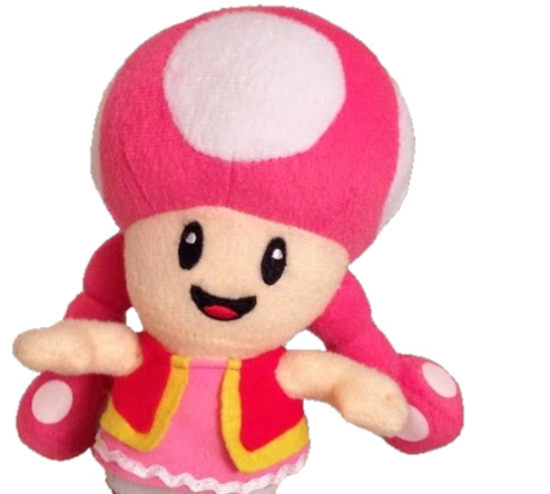 Toadette | SuperMarioLogan Wiki | Fandom