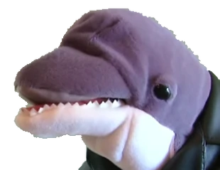 Loan Dolphin | SuperMarioLogan Wiki | FANDOM powered by Wikia