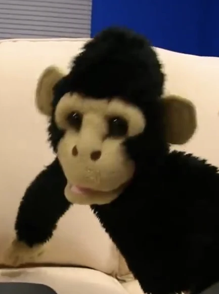 The Monkey | SuperMarioLogan Wiki | Fandom