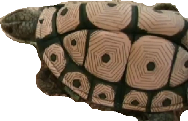 Pee-wee | SuperMarioLogan Wiki | Fandom