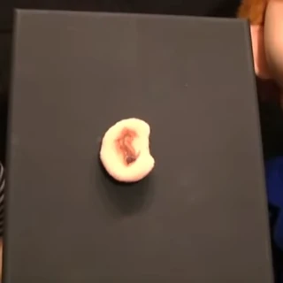 Jacques Pierre François | SuperMarioLogan Wiki | Fandom