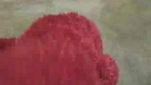 Mario Interview: "Elmo" | SuperMarioLogan Wiki | Fandom