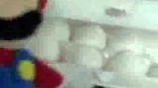 Mario Likes Bacon | SuperMarioLogan Wiki | Fandom