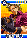 Shen Woo | SNK Wiki | Fandom
